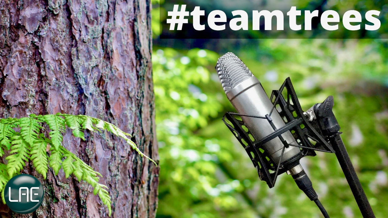 How To Make Drums Samples From Tree Sounds Teamtrees Learn Audio